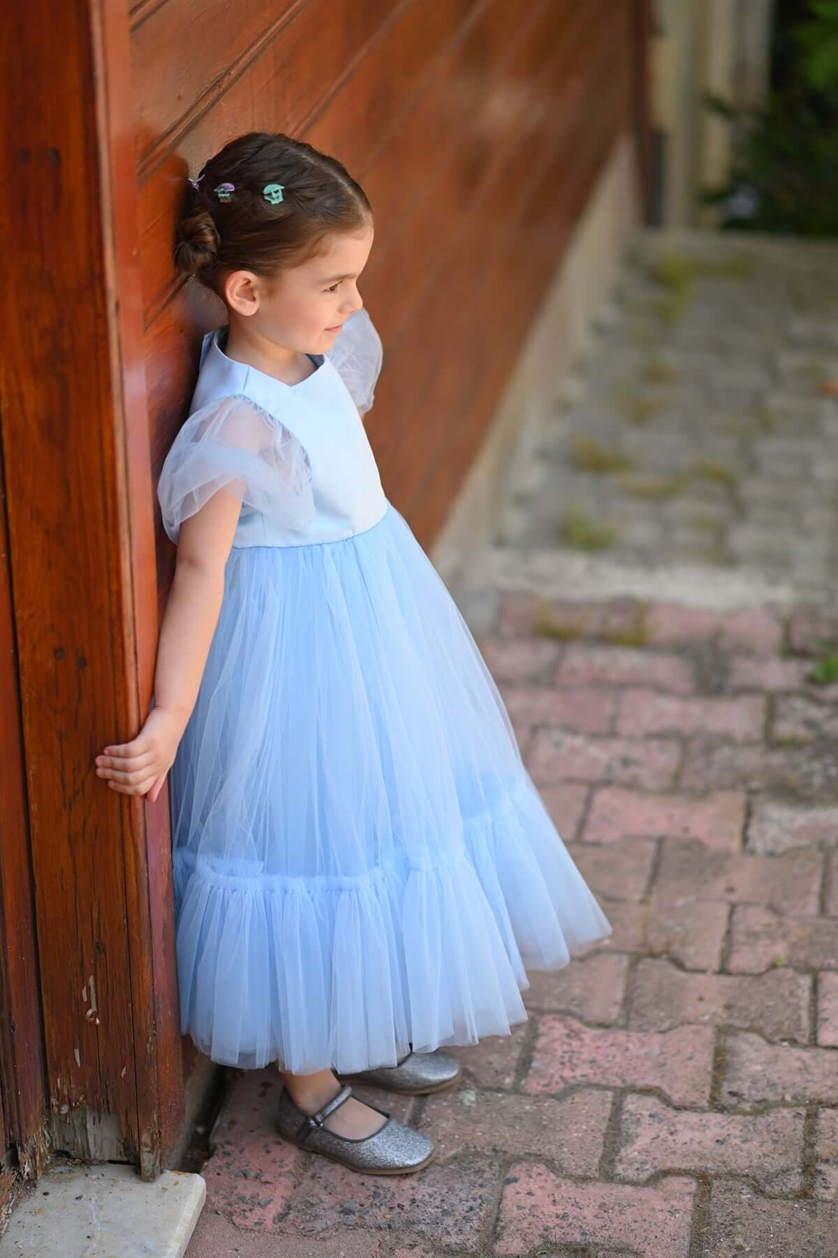 Frozen Maxi Elbise | Mini Celebrities